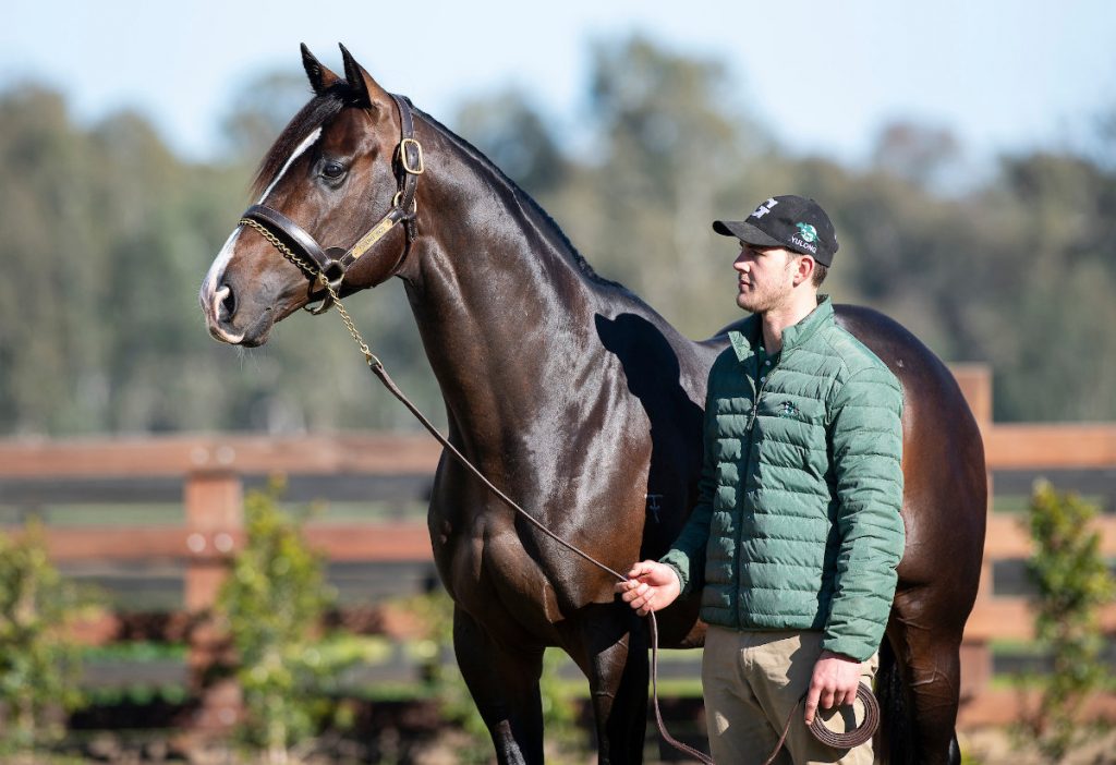 Yulong Invest - Yulong Invest