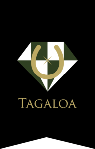 Tagaloa - Yulong Invest