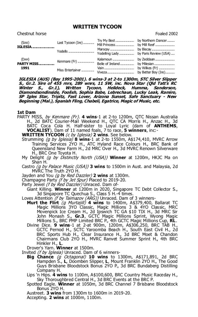 Written Tycoon - Stallion