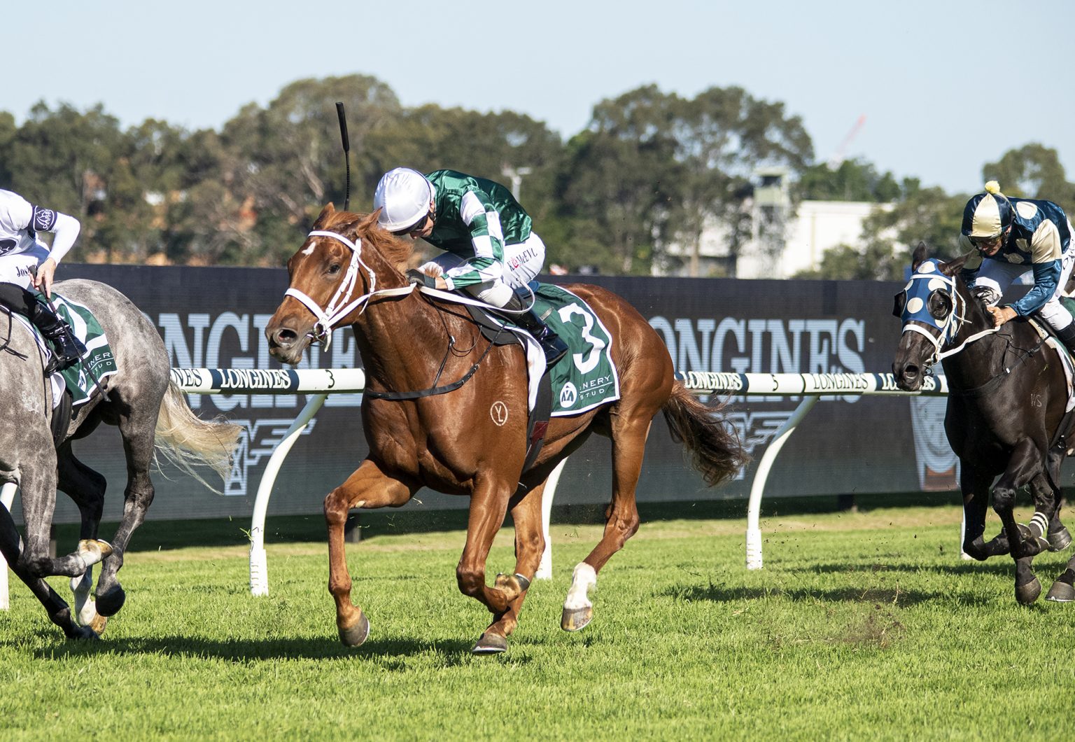 About - Yulong Invest