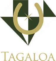 Yulong Invest - Yulong Invest