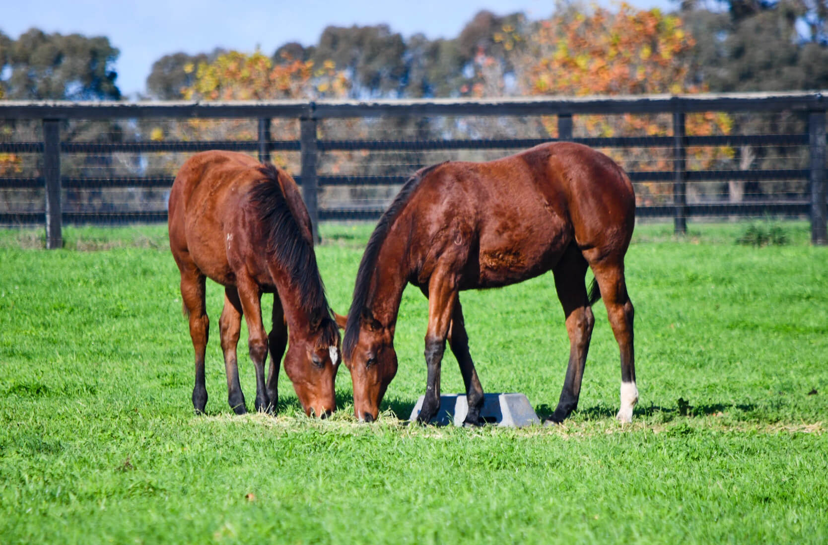 Careers - Yulong Invest