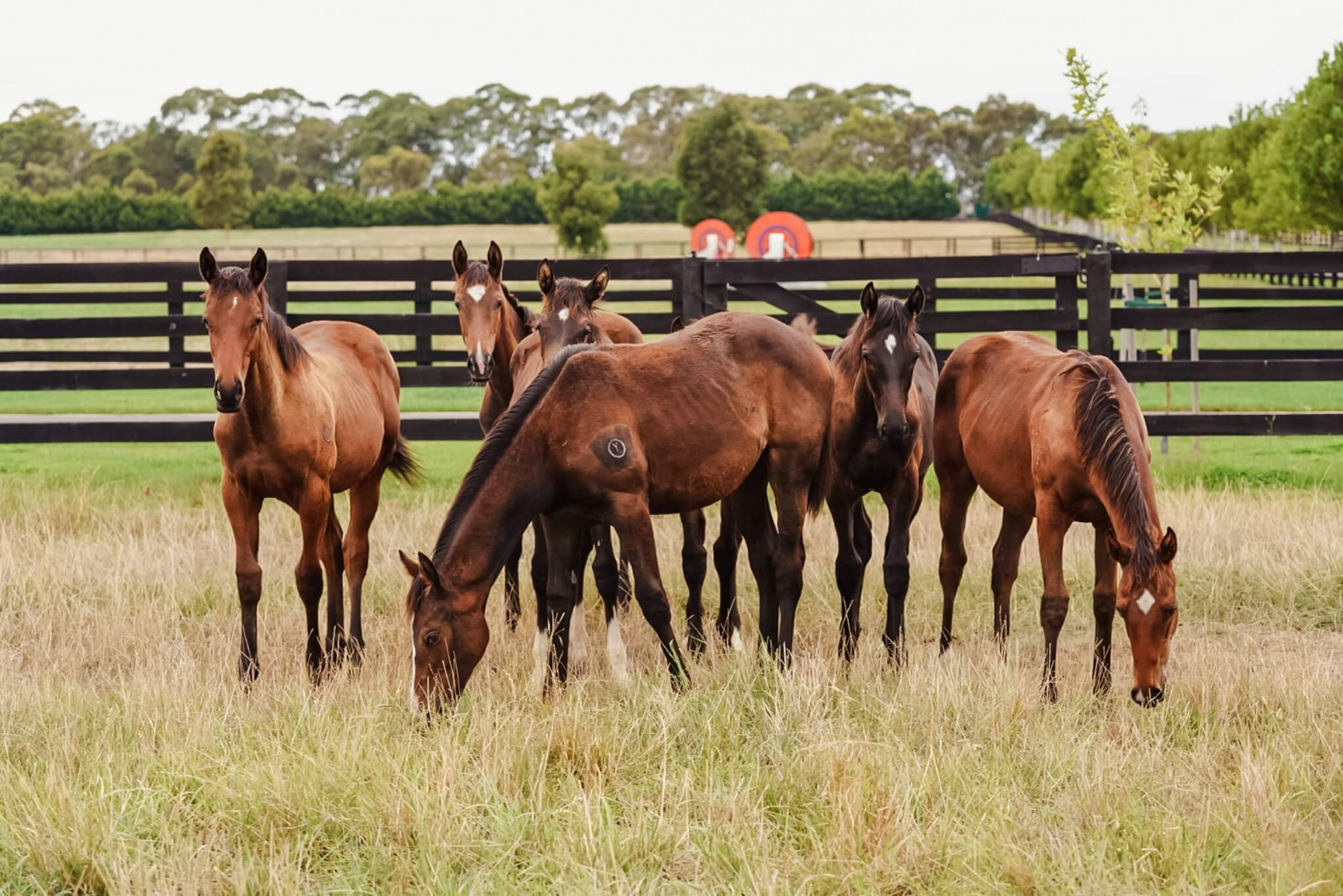 Yulong Invest - Yulong Invest