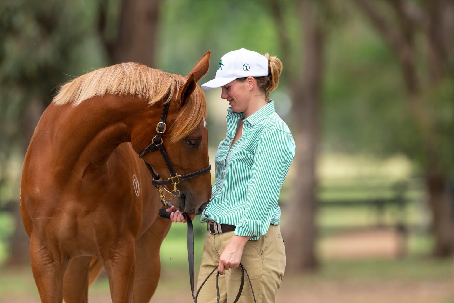 Careers - Yulong Invest