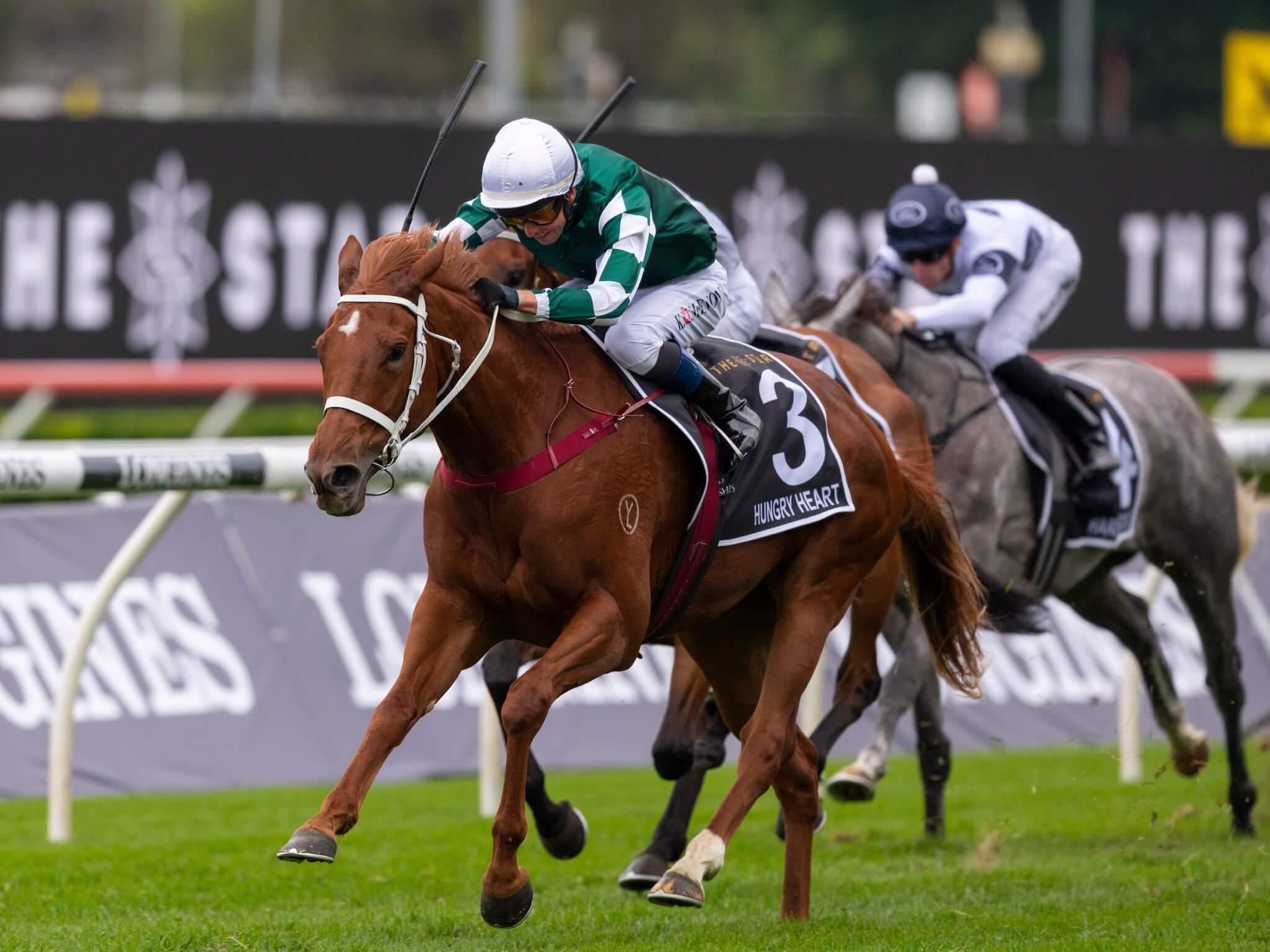 Yulong Invest - Yulong Invest