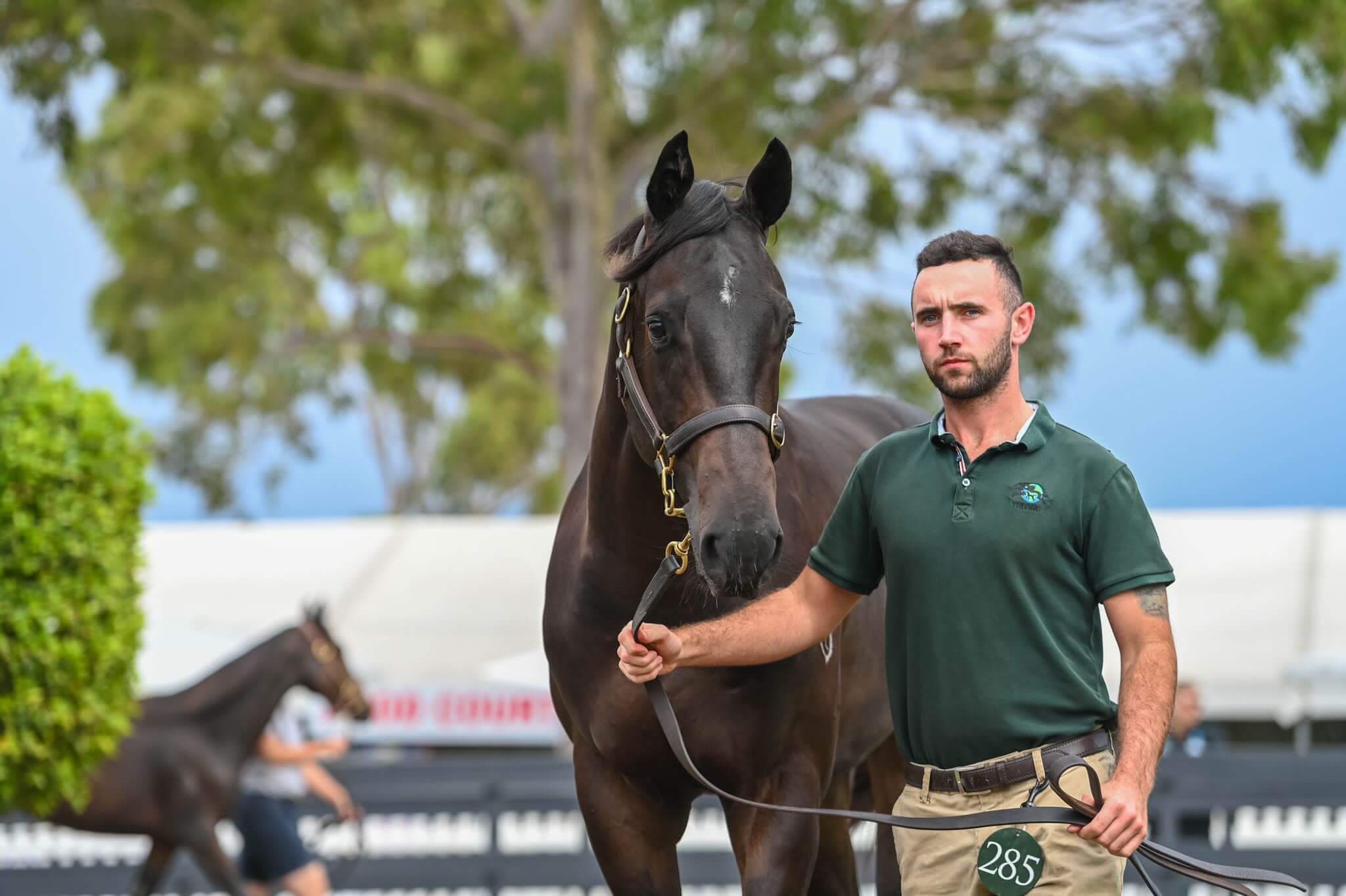 Careers - Yulong Invest