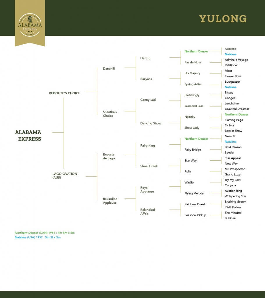 Alabama Express - Stallion