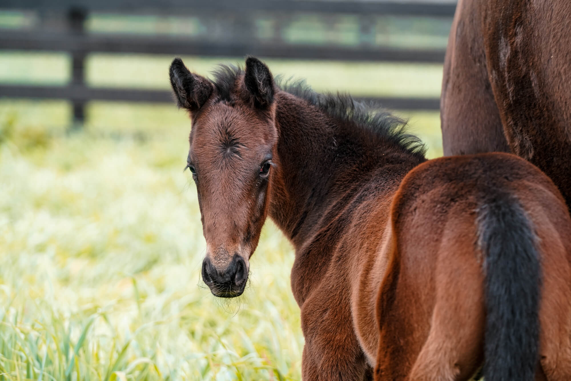 Careers - Yulong Invest