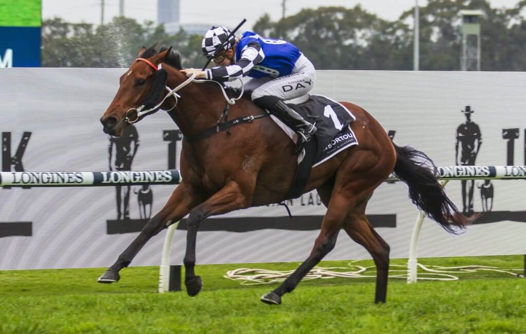 Mares - Yulong Invest