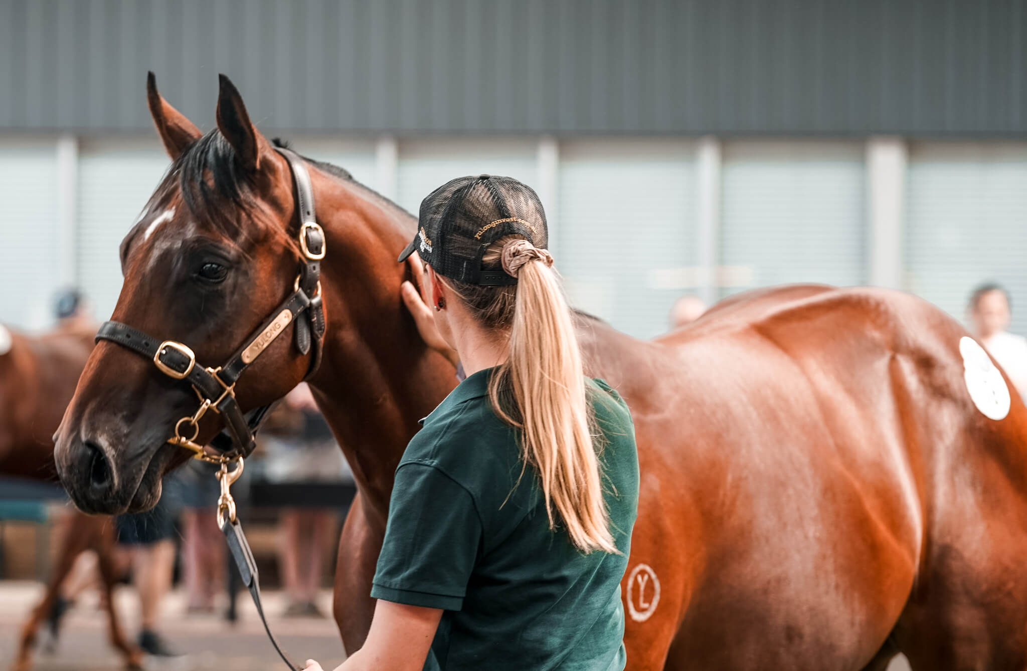 Careers - Yulong Invest