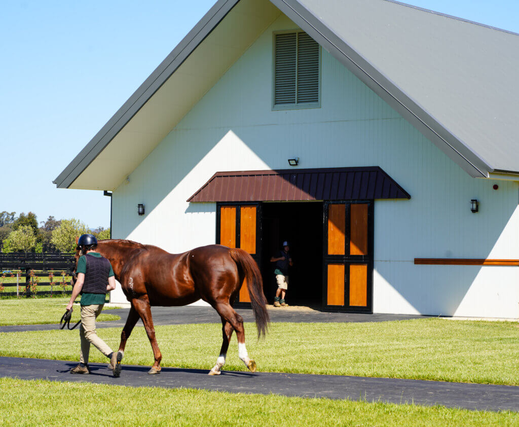 Velocious provides Tycoon Stakes winner 57 - Yulong Invest