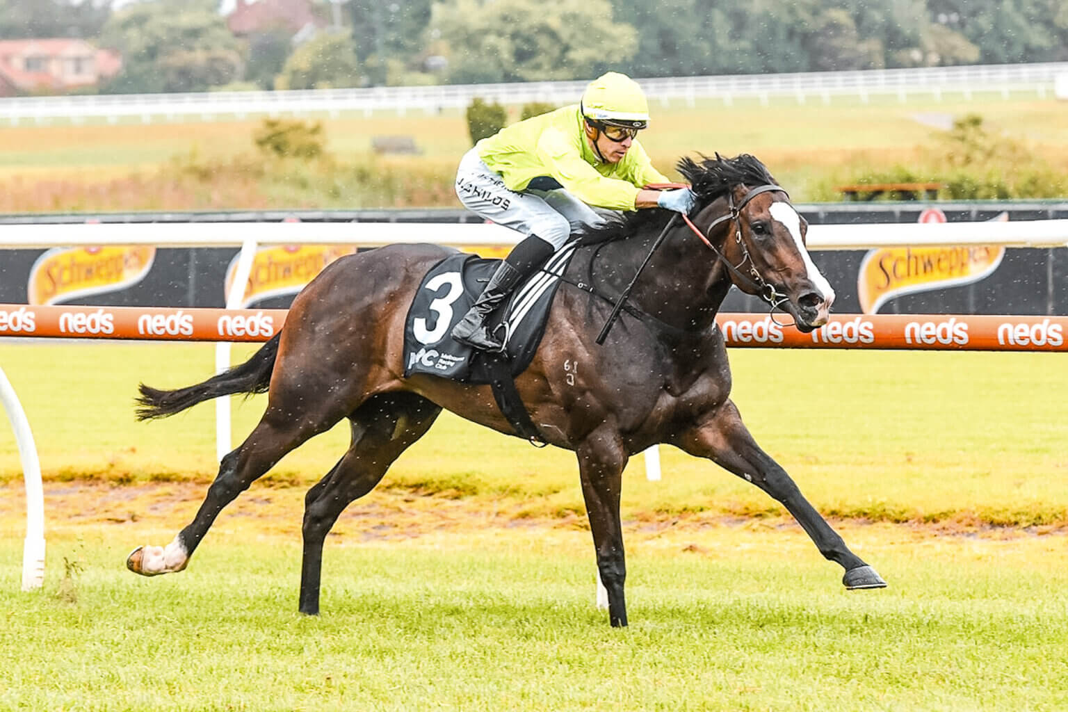 News - Yulong Invest