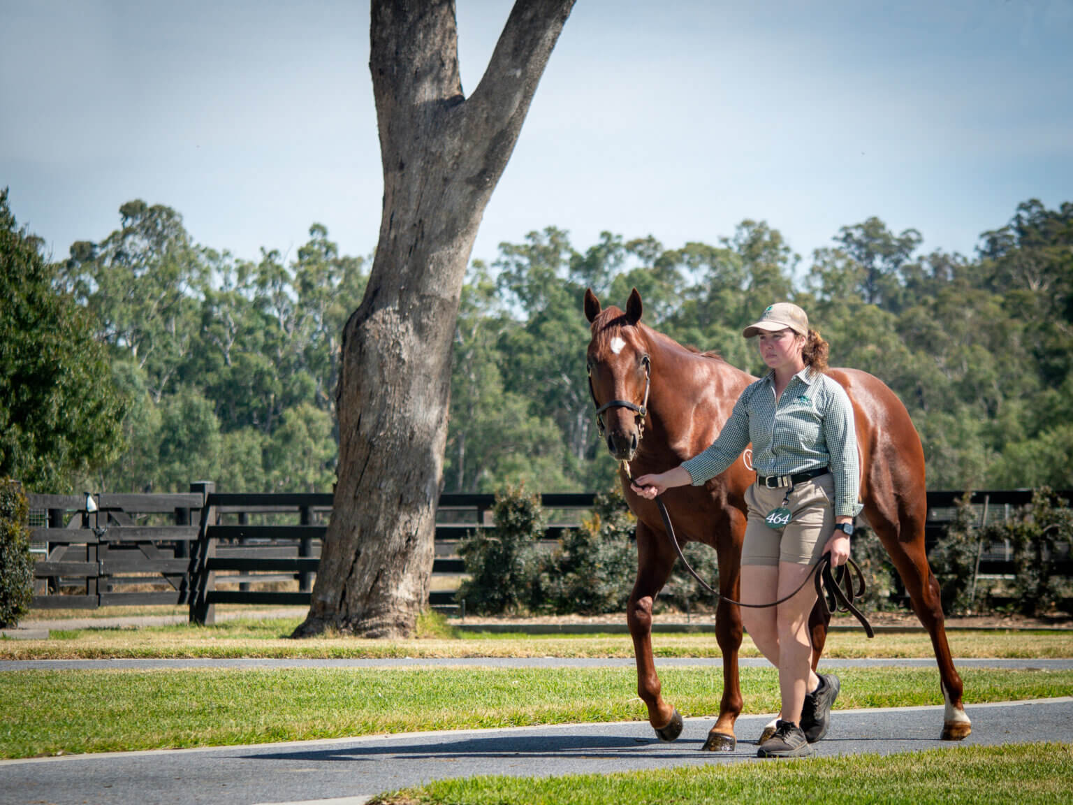 Careers - Yulong Invest