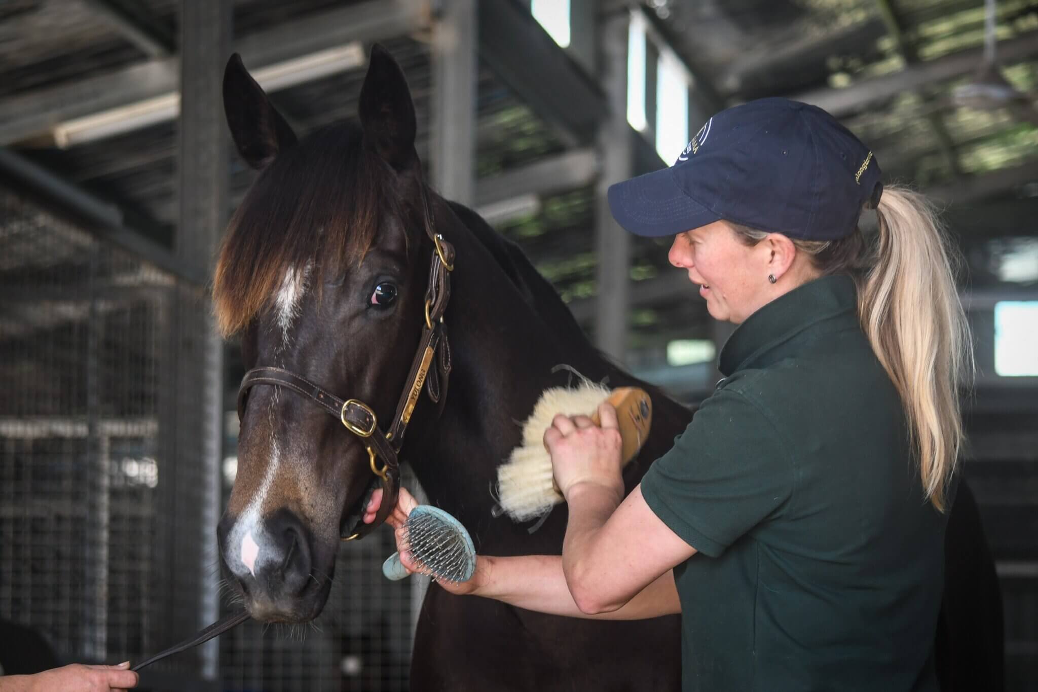 Careers - Yulong Invest