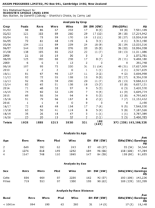 Alabama Express - Stallion