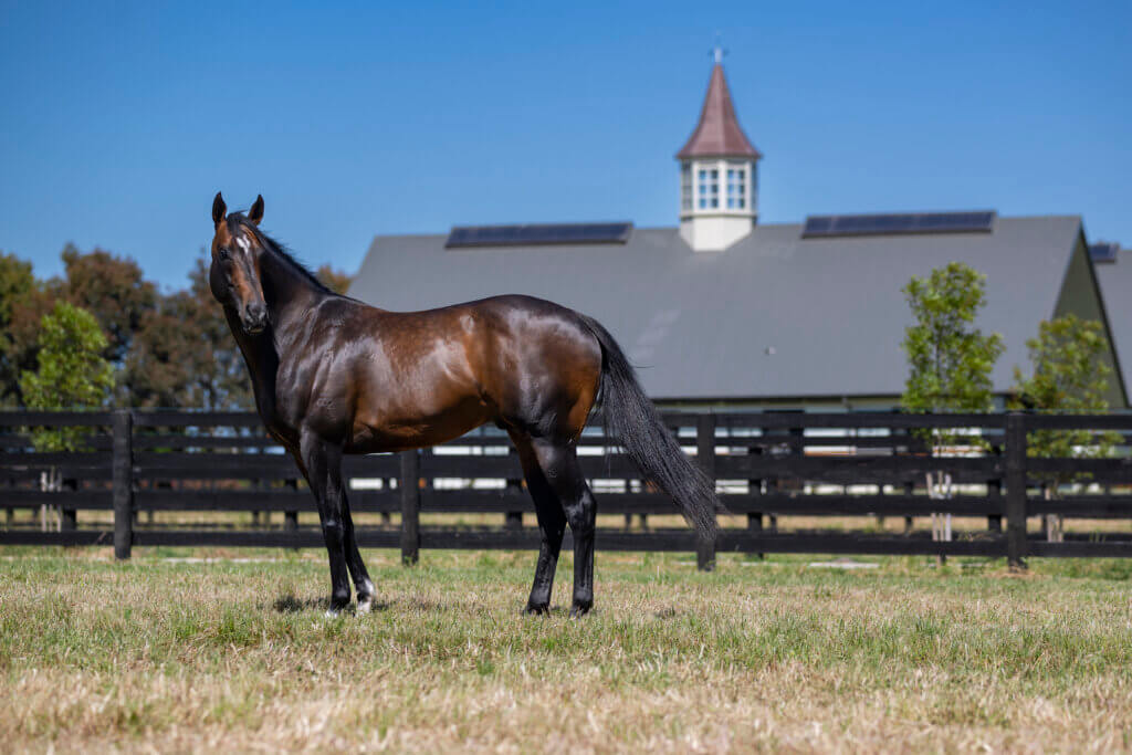 Alabama Express adds rare juvenile winner in Hong Kong - Yulong Invest