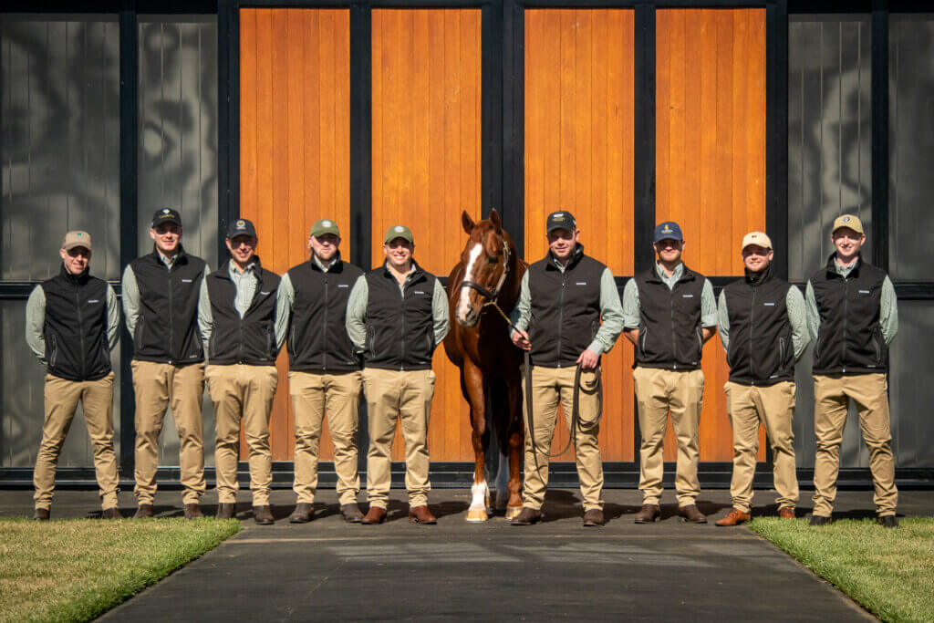 Yulong’s eleven stallions shine at 2025 parade - Yulong Invest