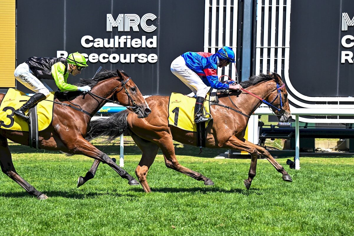 Tough Tagaloa filly leads all the way in Ethereal - Yulong Invest
