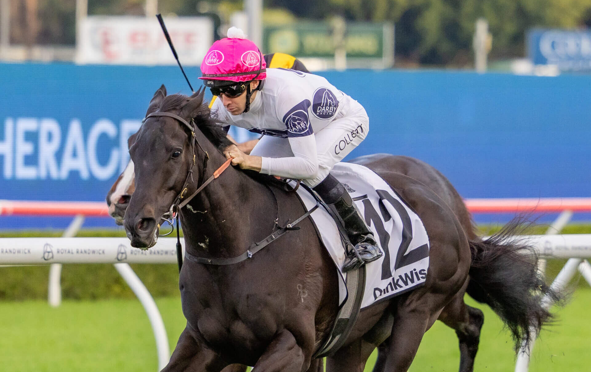 Midnight Dynamite lives up to his name at Randwick - Yulong Invest